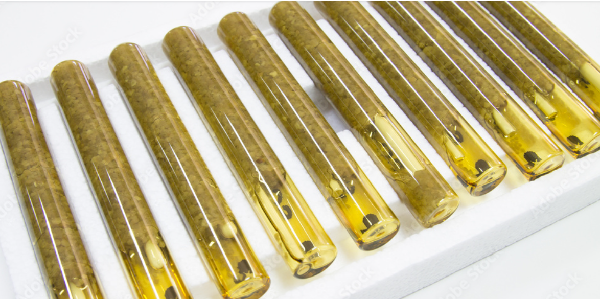 Chemical Capsules | Chemical Anchoring