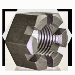 Slotted Hex Nuts